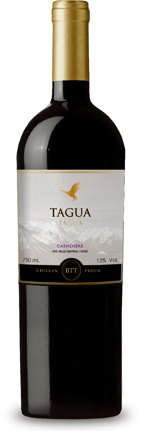 Marquee | Tagua Tagua Carménère